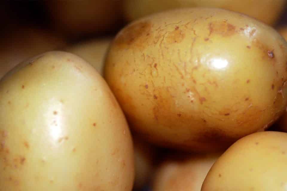 Revisiting the Usefulness of Aesthetic Genetic Modifications with ...